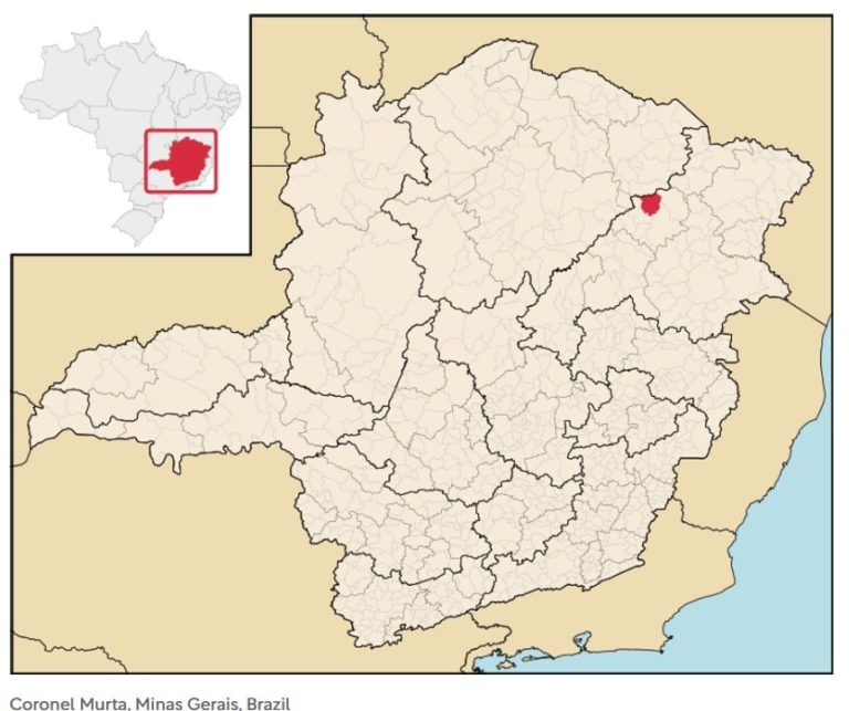 The blueprint of an EV empire: how BYD built global dominance through ...